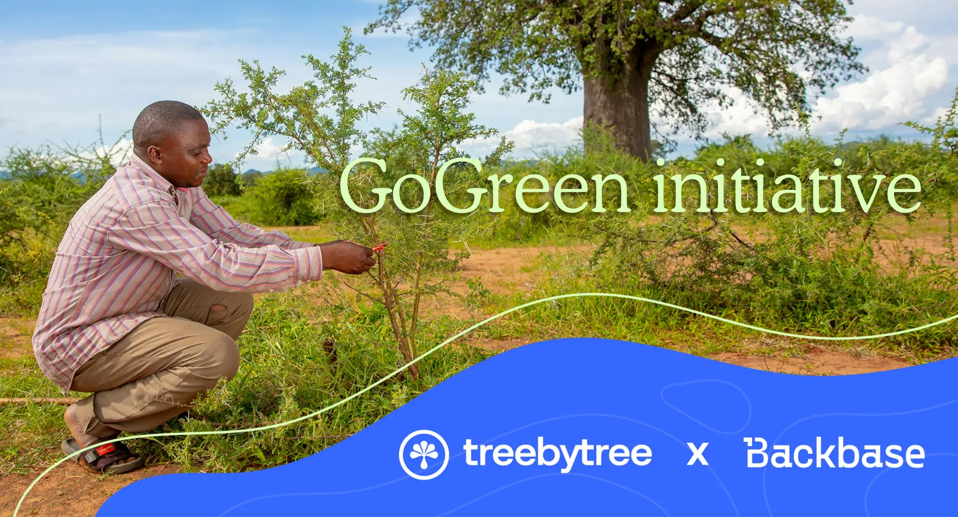 Elevating our partnership with Backbase through GoGreen initiative | Treebytree