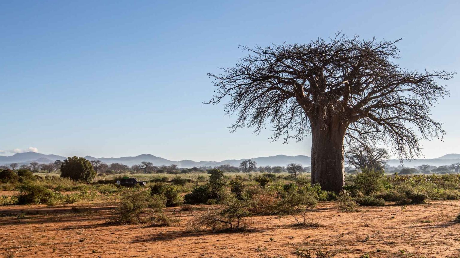 Understanding Tanzania’s Climate Today | Treebytree