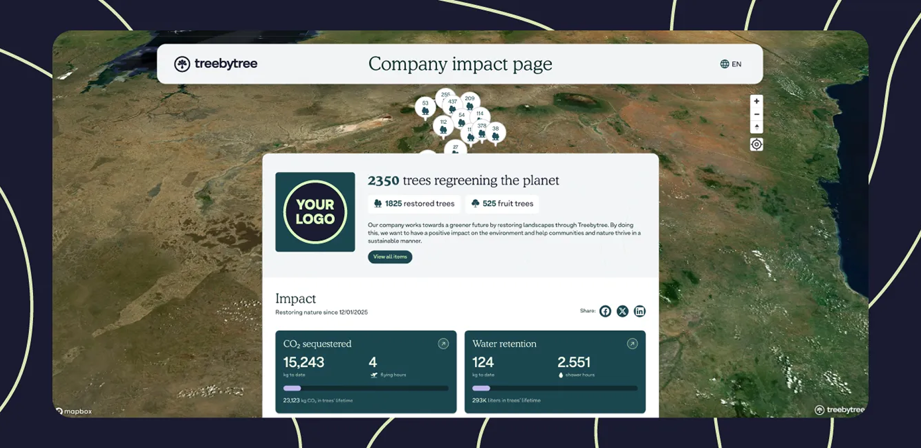 How to use Treebytree’s Impact Page | Treebytree