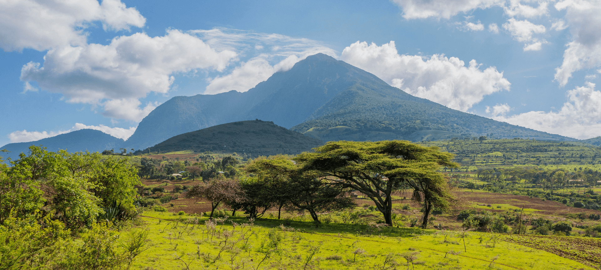 The Power of many! | Treebytree