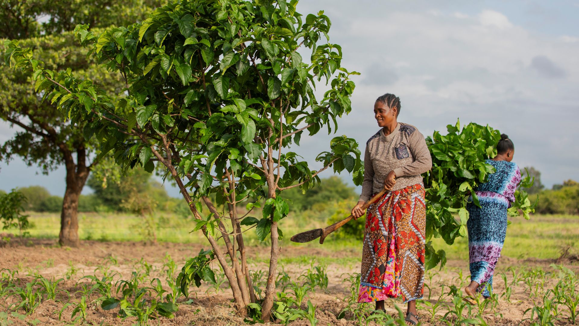 The Power of many! | Treebytree